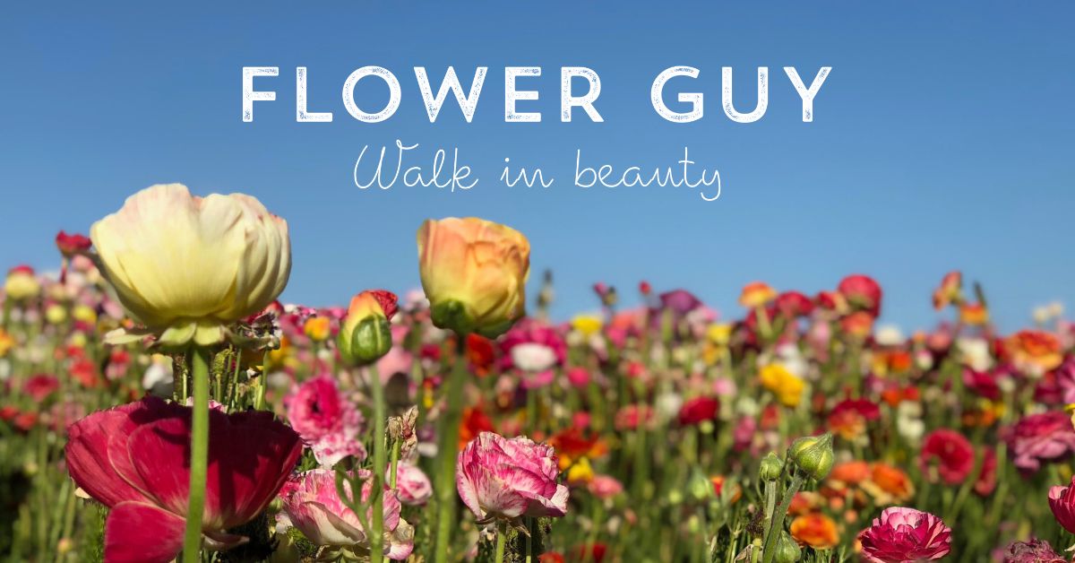 Buy Inspirational Flowers and Gifts Online at Flower Guy