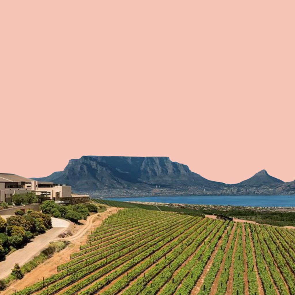 Send Floral Joy with Flower Guy's Cape Town Flower Delivery Service!